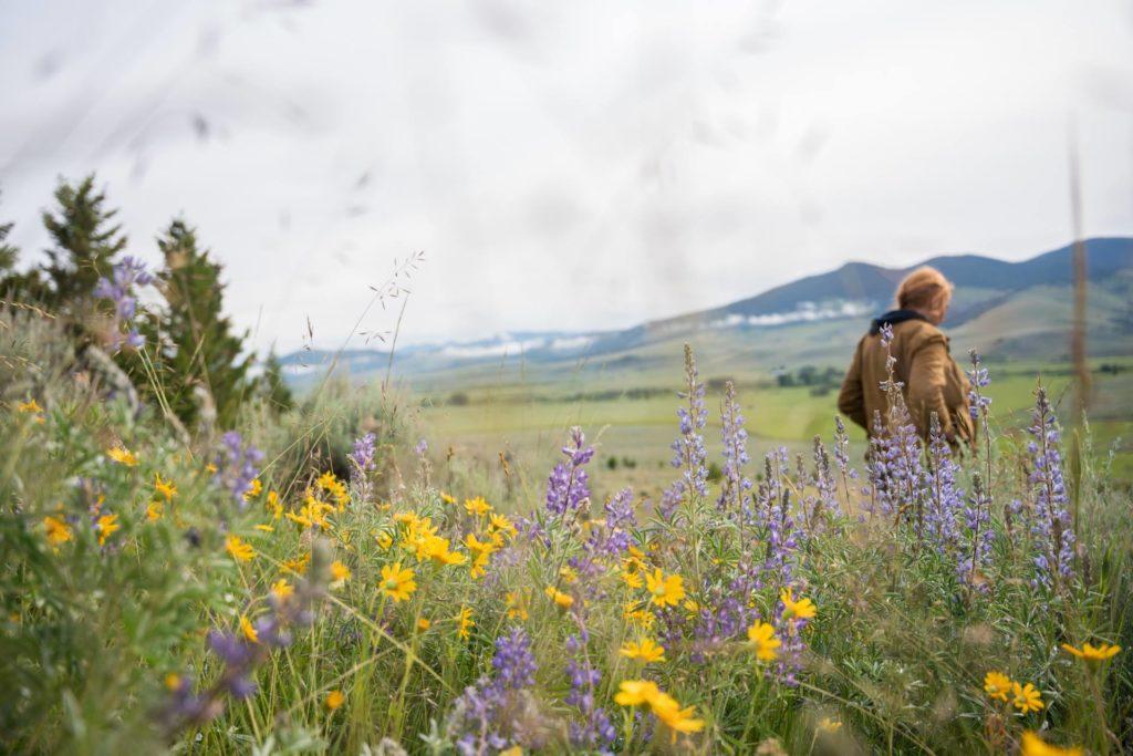 07 – What can pollinators teach us about the future of conservation ...